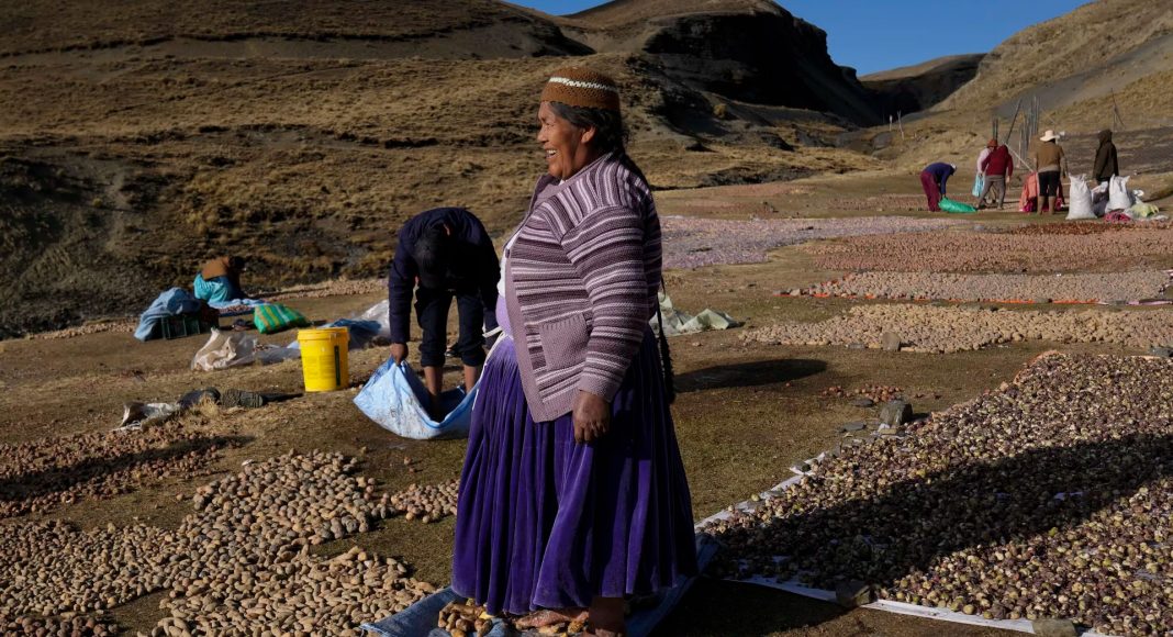 Bolivia alerta del riesgo de desaparición del 40% de las lenguas ...